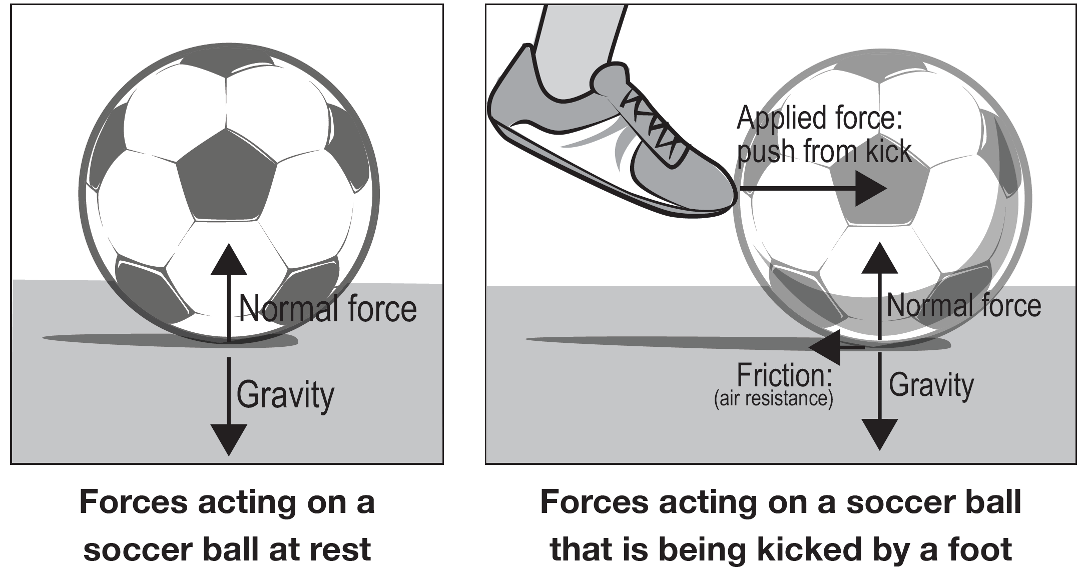 Force | Primary Connections